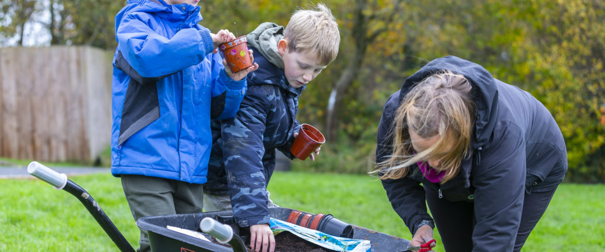 Curriculum – Holsworthy Primary School