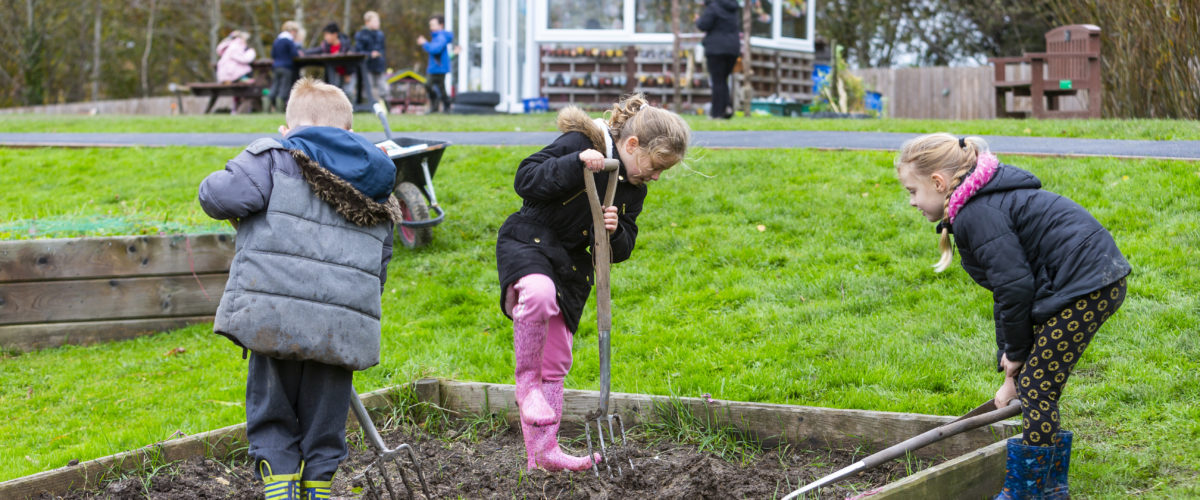 Curriculum – Holsworthy Primary School