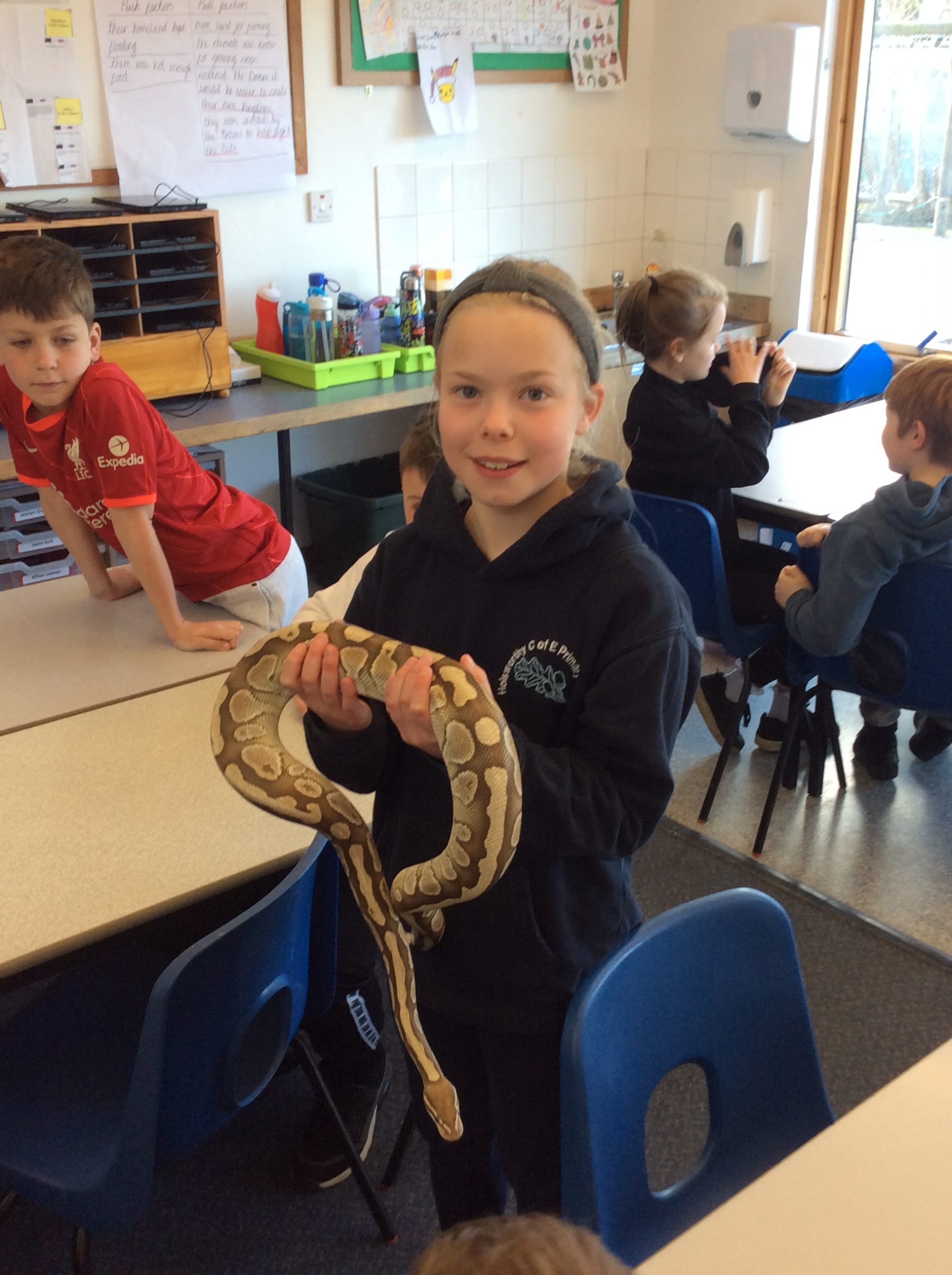 Really Wild Learning – Holsworthy Primary School