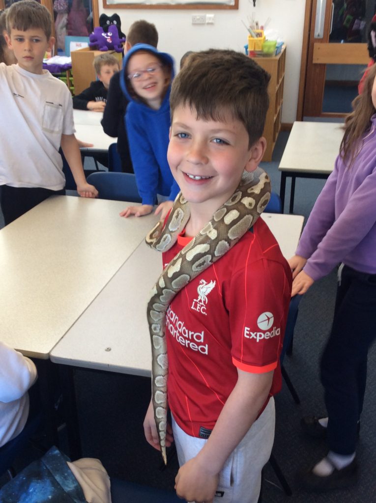 Really Wild Learning – Holsworthy Primary School
